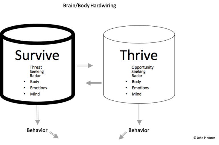 Survive + Thrive - Kotter International Inc